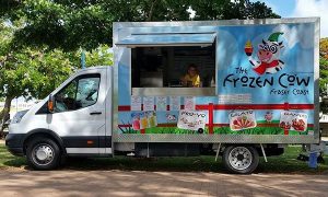 Frozen Cow - Van Demons Vans